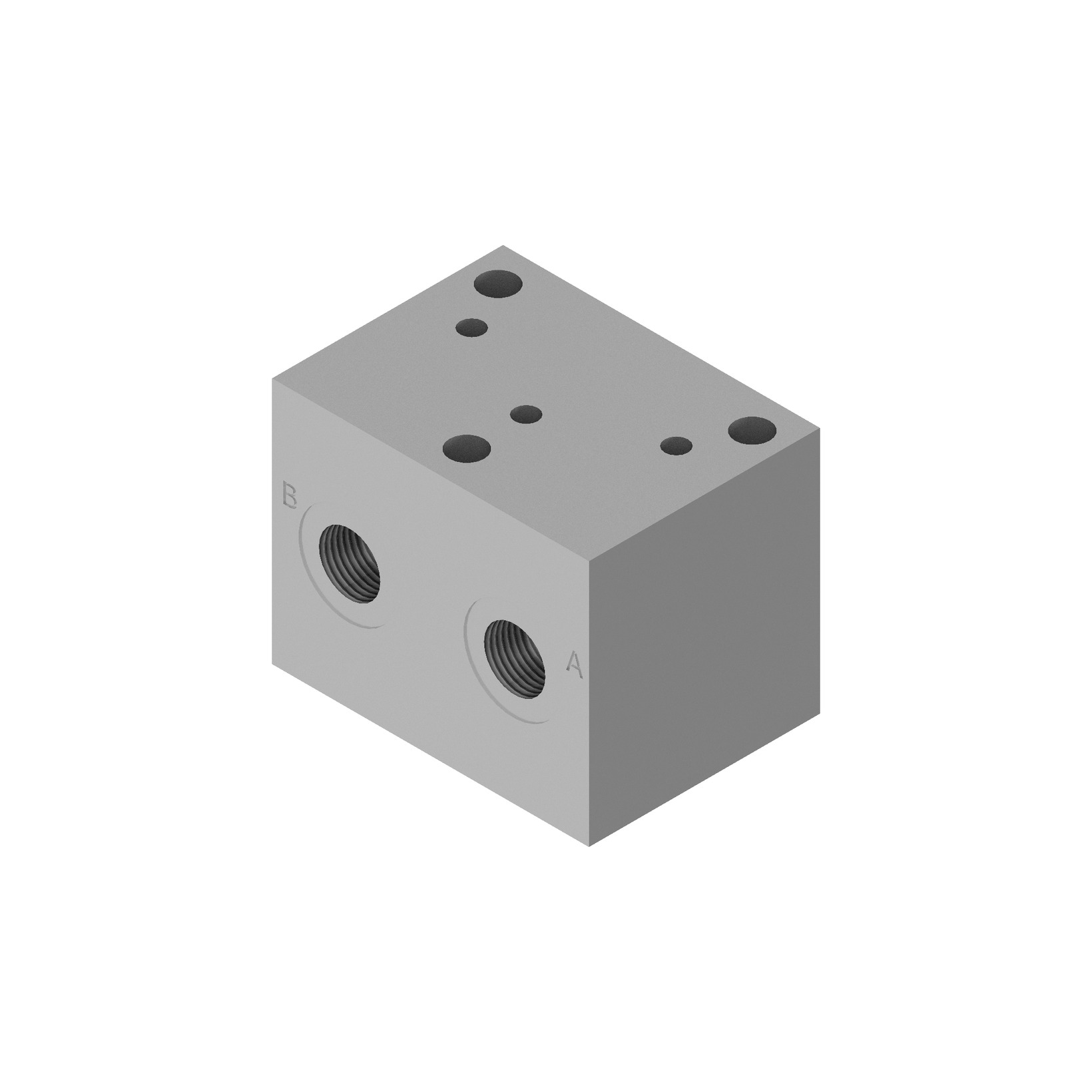 BA1062 - Blocks and systems Low/High Pressure - GTA Lombardia s.r.l.